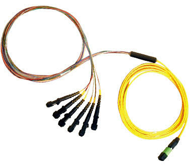 1 meter Single Mode 12 Fiber Ribbon MTP(male) - MTRJ Cable Assembly ...